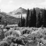 Doc Susie - Mountain Pioneer Woman Doctor | Grand County History Stories